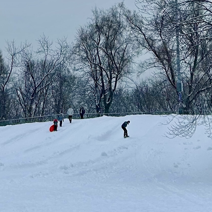 Les activités hivernales gratuites du quartier | Promenade Masson